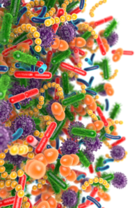 How To Improve Biotin Absorption - EVERBELLA