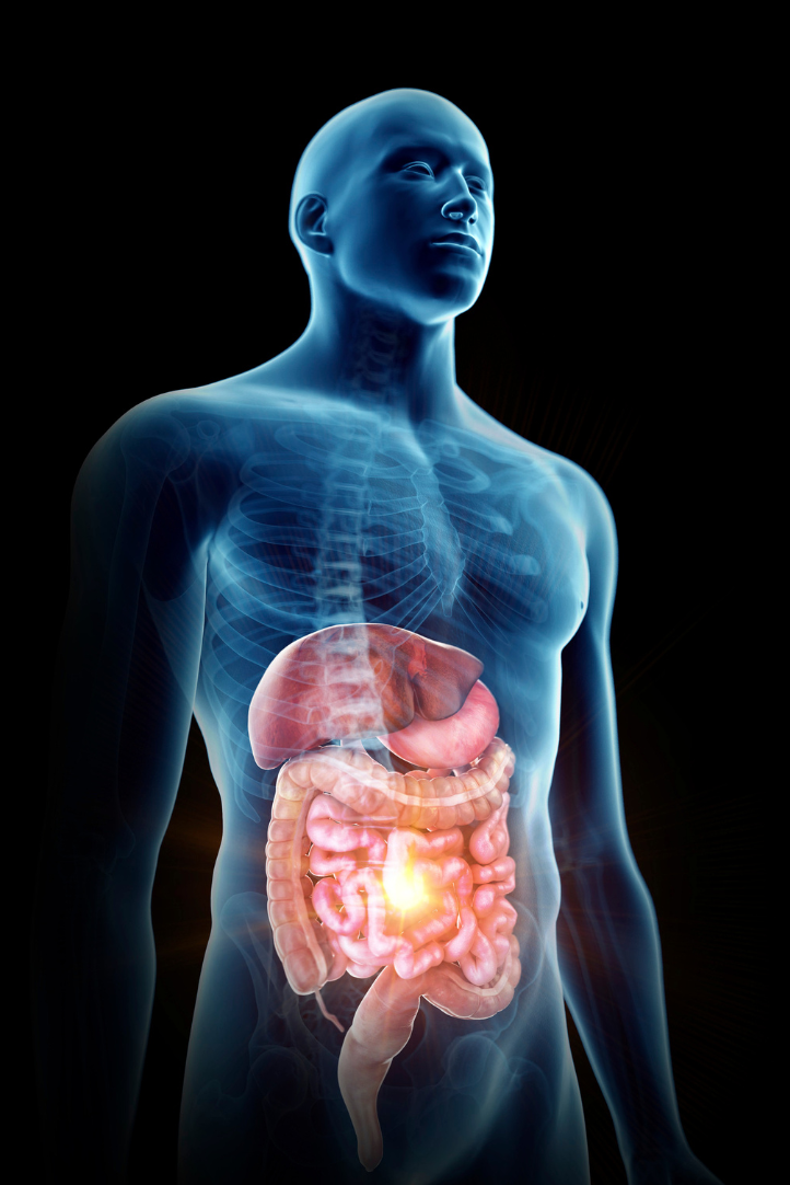 How To Improve Biotin Absorption - EVERBELLA